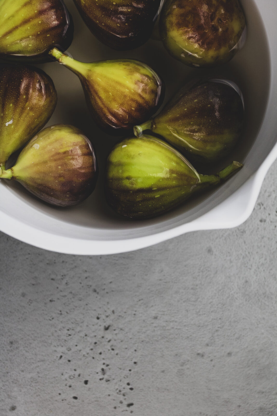 Hardy Fig: Unexpected Success in New England | PITH + VIGOR by Rochelle ...