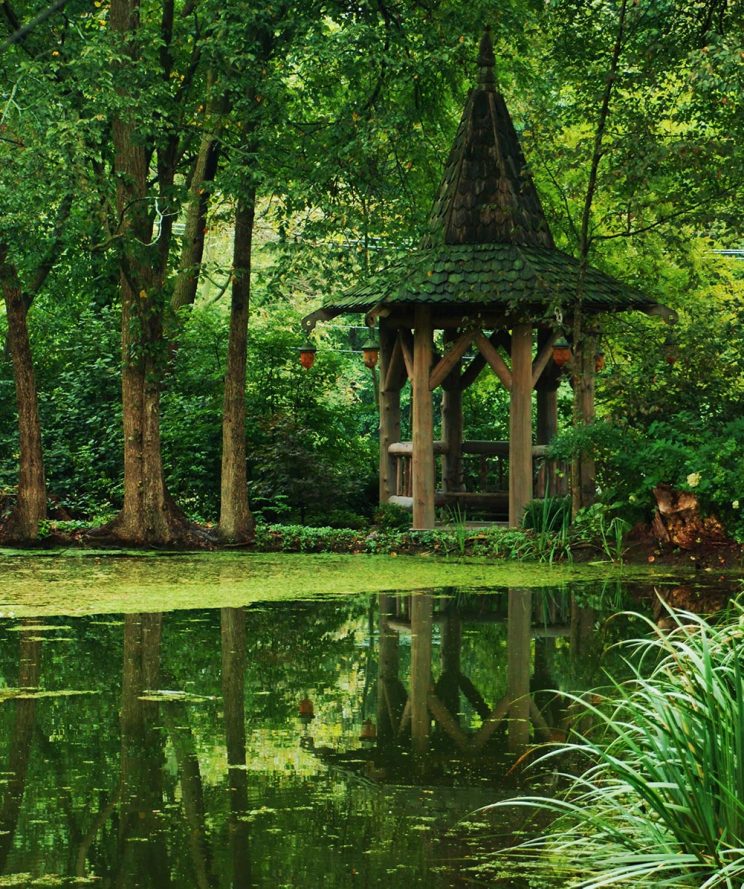 How to Make a Celtic Irish Garden with Wisdom from John Cullen | PITH ...