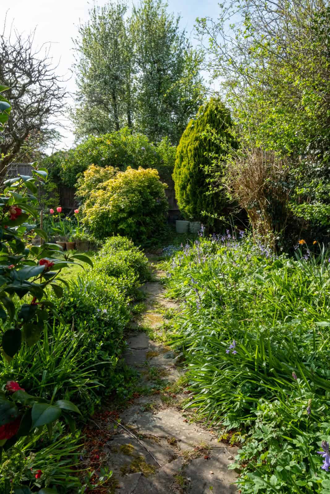 How to quickly Fix An Overgrown Messy Garden (40 tips) | PITH + VIGOR ...