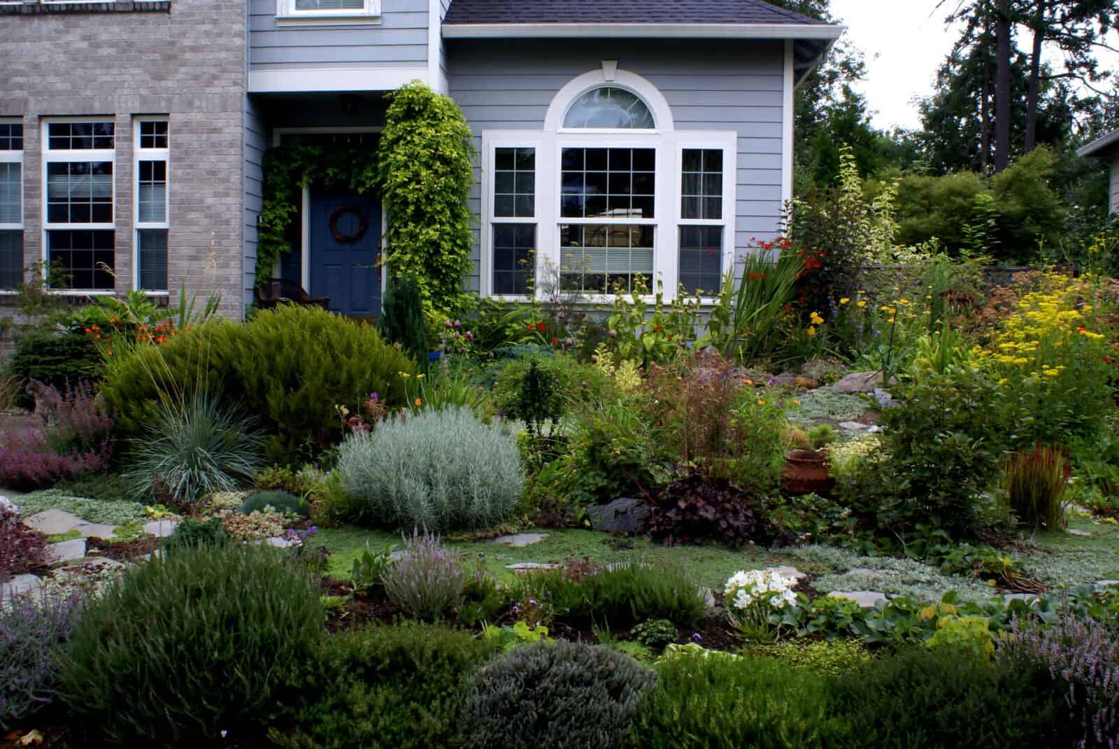 Watch Jacki Transform a Front Yard Lawn into a Grass-Free Garden | PITH ...