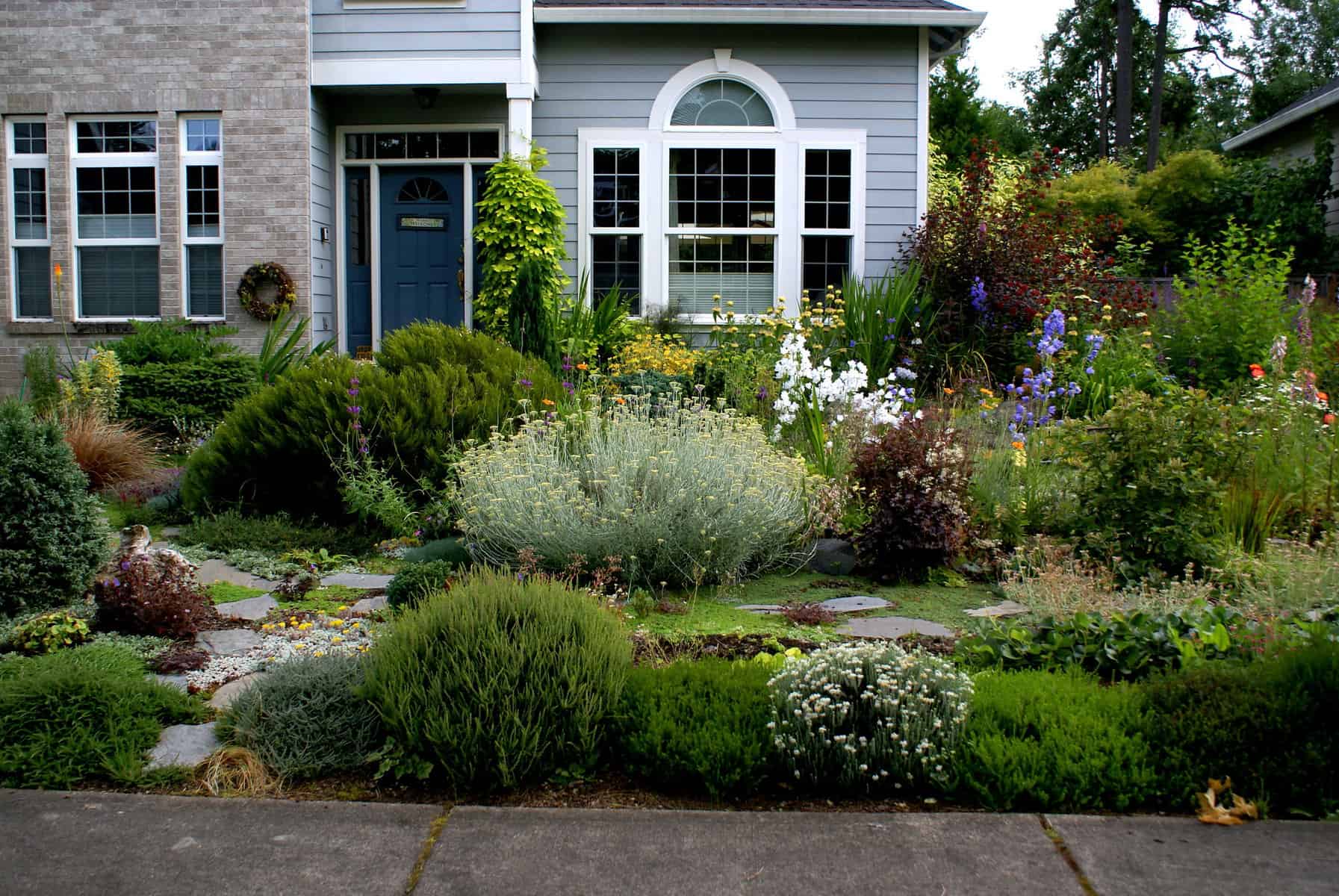 Watch Jacki Transform a Front Yard Lawn into a Grass-Free Garden | PITH ...