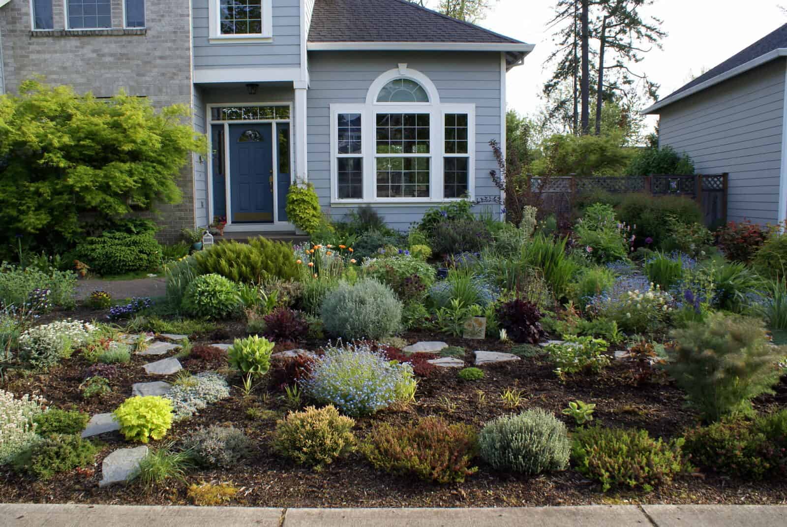Watch Jacki Transform a Front Yard Lawn into a Grass-Free Garden | PITH ...