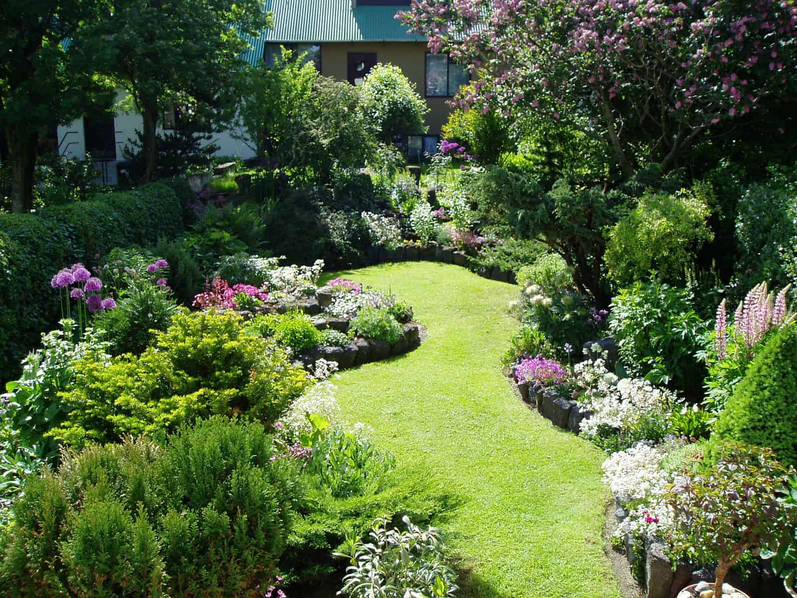 Grass and Lawn Design - It's not all bad! (if you do it right) | PITH ...