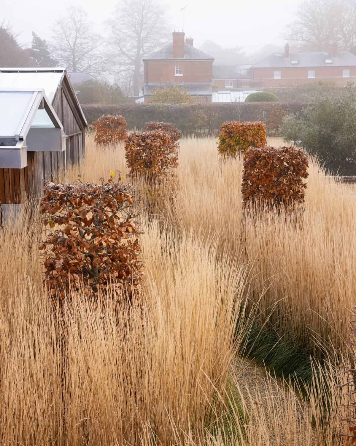 How to Design Landscapes for All 14 of Your Senses | PITH + VIGOR by ...