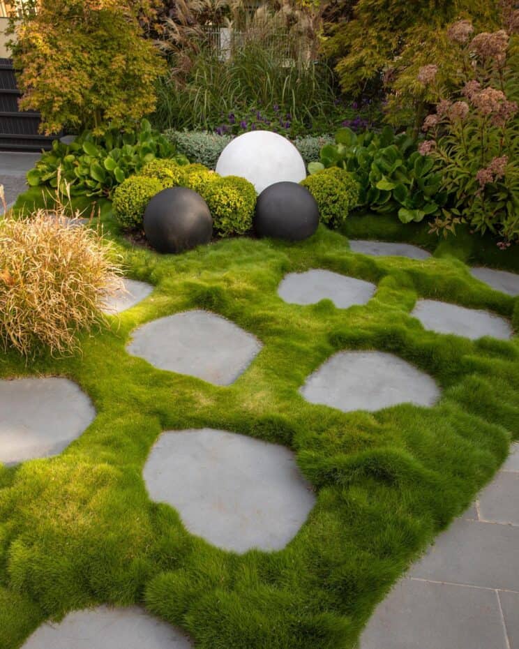 Why Is Everyone Talking About The Benefits Of Korean No Mow Grass Zoysia Tenuifolia Pith