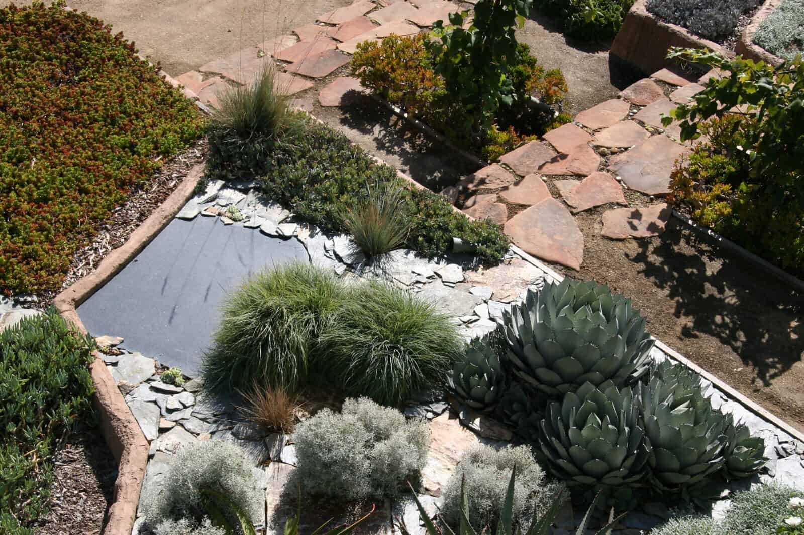 Isabelle Greene's Iconic Hillside Dry Garden in Santa Barbara ...